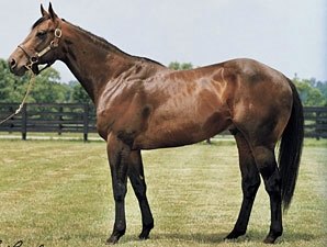 Indian Charlie - Alchetron, The Free Social Encyclopedia