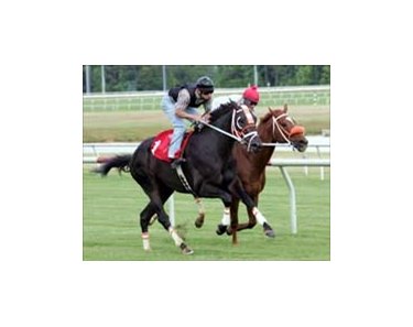 Scrappy T Heads Field for Indiana Derby - BloodHorse