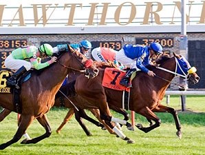 Danzig Inbreeding Yields Successes - BloodHorse