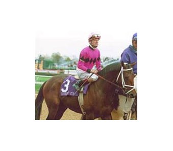 Dollar Bill to Miss Breeding Season - BloodHorse