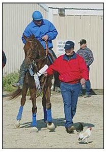 The Return of Smarty Jones: Hail the Conquering Hero - BloodHorse