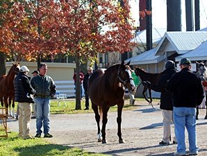 Pulpit Filly Tops Keeneland Day 7 at $190,000 - BloodHorse