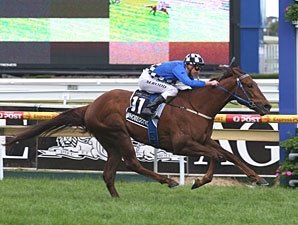 Top Aussie Sprinter Poised to Show More - BloodHorse