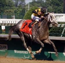 Flashy Bull to Stand at Airdrie - BloodHorse