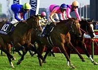 World's Leading Money Earner, T.M. Opera O, Retired - BloodHorse