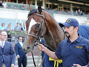 Tonalist - Horse Profile - BloodHorse