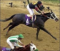 Family Matters: Macho Uno Pedigree Analysis - BloodHorse