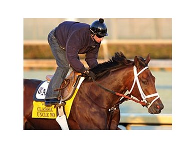 Uncle Mo Gallops in Return to Track - BloodHorse