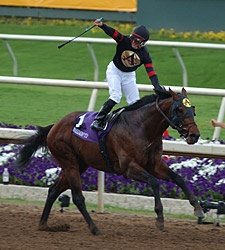 Ghostzapper Wins Classic in Record Time - BloodHorse
