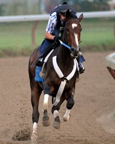 Rachel Alexandra, Papa Clem in Haskell Works - BloodHorse