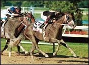 Macho Uno Heading to Arlington - BloodHorse