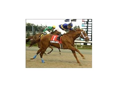 Leonnatus Anteas Wins Durham Cup in Record Time - BloodHorse