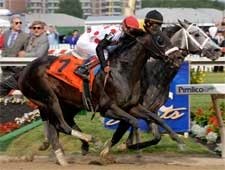 Flashy Bull Outnods Hesanoldsalt in Schaefer - BloodHorse