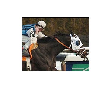 Migliore Lands 4,000th Win, Pays Tribute - BloodHorse