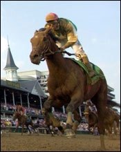 Afleet Alex to Arrive First for Preakness - BloodHorse