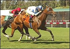 Candy Ride Claims Sweet American 'Cap Win - BloodHorse