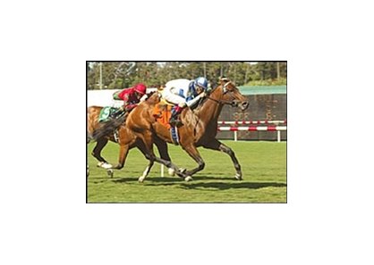 Candy Ride Claims Sweet American 'Cap Win - BloodHorse