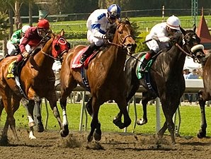 Steve Haskin's Derby Dozen - 04/07/09 - BloodHorse