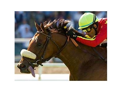 Mrs Kipling Set for Return in Ramser Handicap - BloodHorse