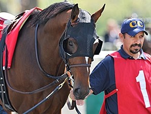 Tonalist - Horse Profile - BloodHorse