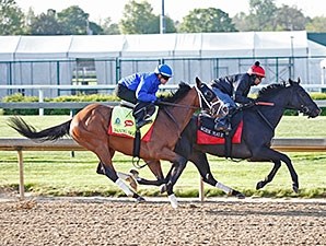 Danzig Moon - Horse Profile - BloodHorse