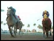 Maybry's Boy Closes for Spectacular Bid Win - BloodHorse