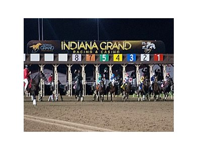 Indiana Suspends Trainer Haffner 45 Days - BloodHorse