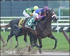 Whoopi Cat Wins Saratoga's Adirondack - BloodHorse