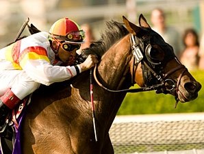 Bourbon Bay Needs Every Ounce in 'Capistrano - BloodHorse