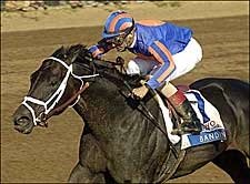 The Great Bandini Emerges in Blue Grass - BloodHorse