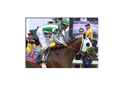 Haskin's Belmont Report: Why Point Given Should Dominate - BloodHorse