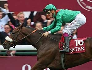 Zarkava Named Cartier Horse of the Year - BloodHorse