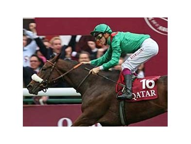 Zarkava Second in Timeform Rating - BloodHorse