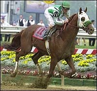 Point Given Redeems Himself in Preakness - BloodHorse