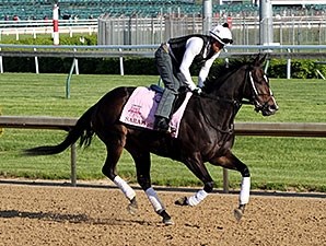 Sarah Sis - Horse Profile - BloodHorse