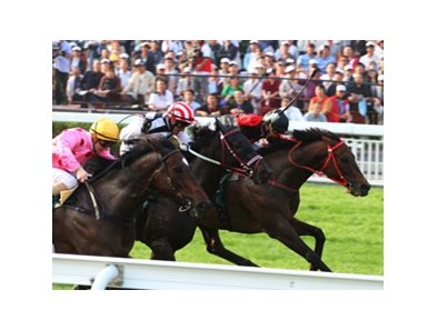 Great Runner, Grand Bloodlines, Good Ba Ba - BloodHorse