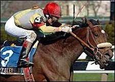 Acey Deucey Doesn't Bluff in Comely - BloodHorse