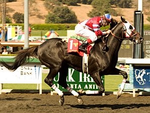 'Chieftain Takes Cal Cup Classic; Grazen Hurt - BloodHorse