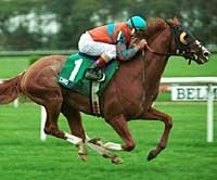 Major Winner Ciro to Japan - BloodHorse