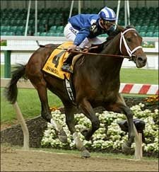 Invasor Pulls off Special Surprise - BloodHorse