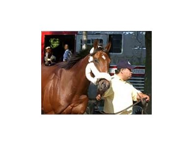 Afleet Alex Arrives at Belmont Park - BloodHorse