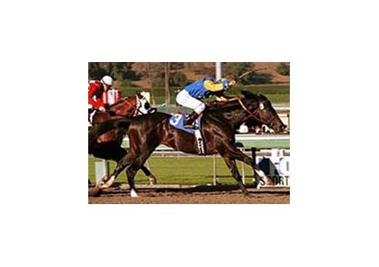 Dixie Union to Stud at Diamond A Farms - BloodHorse