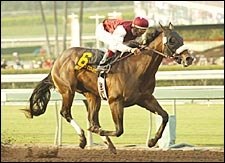 Ruler's Court Lords Over Norfolk - BloodHorse