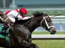 Flashy Bull, Sunriver Play the Waiting Game - BloodHorse