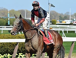 Tonalist - Horse Profile - BloodHorse