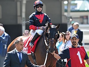 Tonalist - Horse Profile - BloodHorse