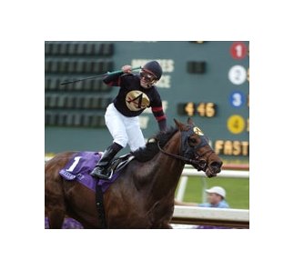 Ghostzapper Ranked as Top Horse in the World - BloodHorse