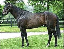 Yonaguska Weanling Tops Sunday Keeneland Session - BloodHorse