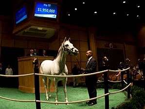 Guillot Buys Careless Jewel for $1.95 Million - BloodHorse