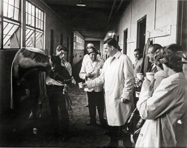 Miles To Go: Metropolitan Handicap History - Slideshow - BloodHorse